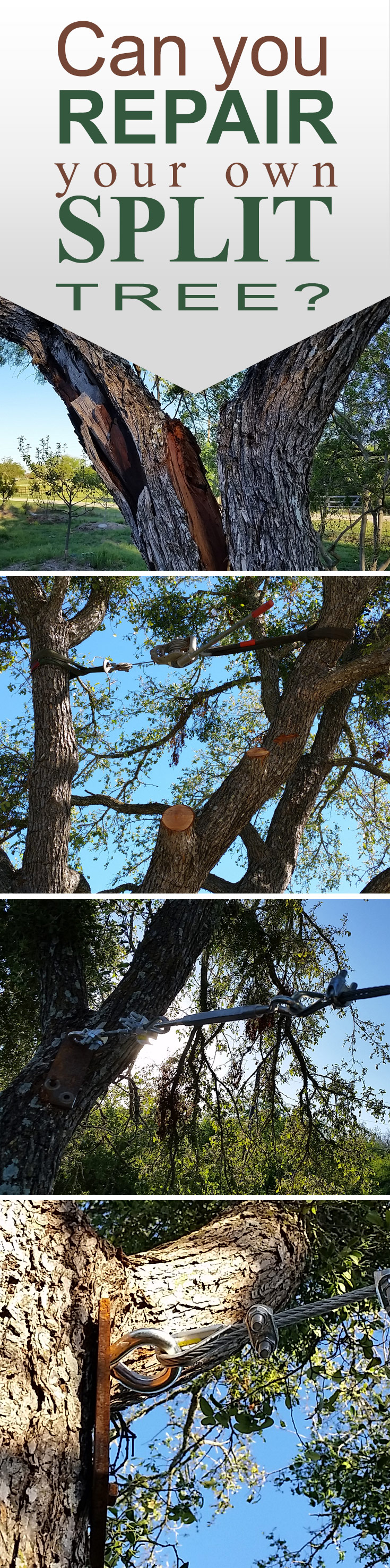 Tree Split Repair Electrical Panel Repair